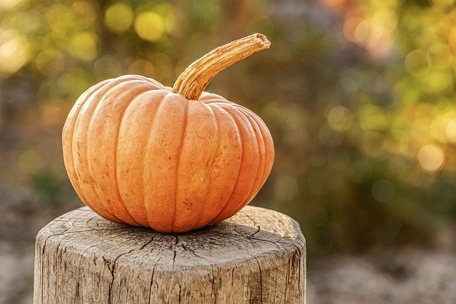 USDA: Pumpkins- Where Do They Come From?